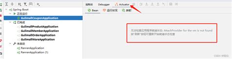 idea2022 run dashboard service服务不显示端口号解决方法 attachprovider for the vm is