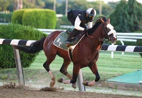 米三冠初戦のベルモントs、本命ティズザローは8番枠 Jra Van World 海外競馬情報サイト