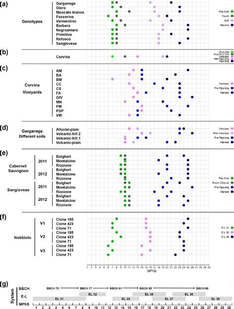 Scaling Of Previously Published Berry Transcriptomic Samples Onto The