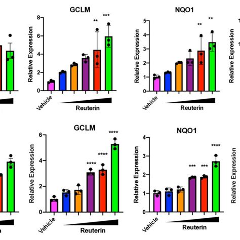 Reuterin Increases Ros And Nrf2 Target Genes A Cells Were Treated