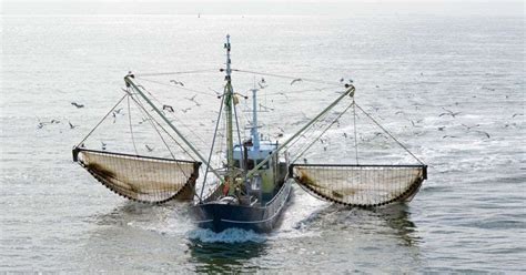 Vuelve La Pesca De Arrastre