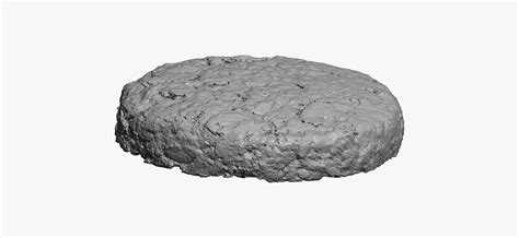 Oat Flakes Round Cracker 01 Raw Scan 3d Model 9 Obj Free3d