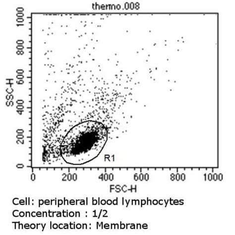 Cd4 Monoclonal Antibody 4b12 Invitrogen 500 μl Unconjugated