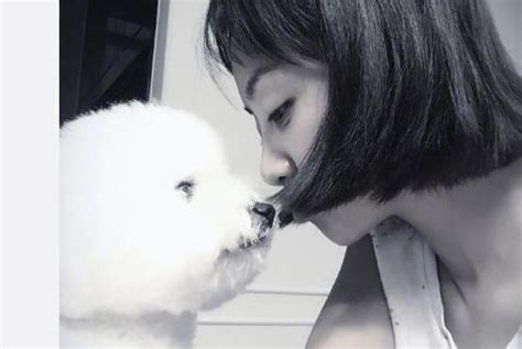 出道21年无绯闻，杨蓉把情感都寄托给了爱犬？