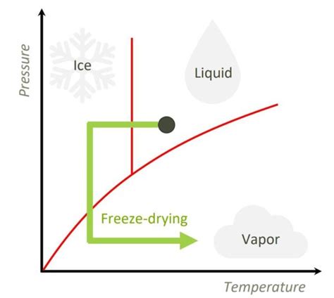 Freeze Drying 300k Solutions