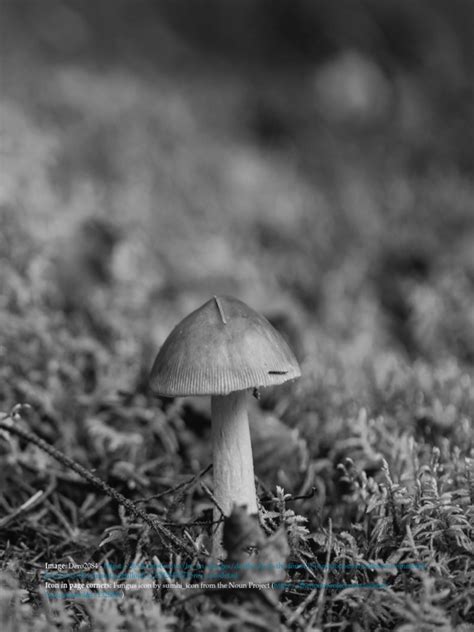 Chapter 2 Post Normal Science How Does It Resonat 2020 Science