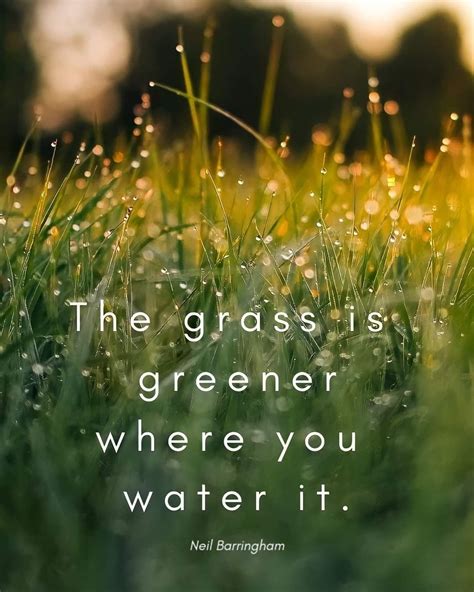 The Grass Is Greener Where You Water It