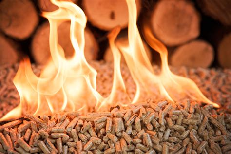Government Releases Its Biomass Strategy Call For Evidence Energy Now