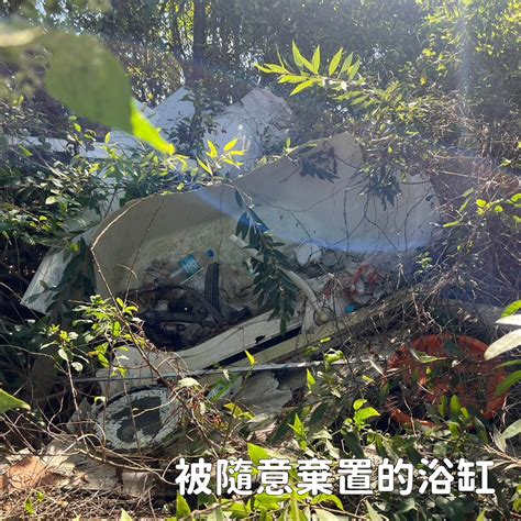 荒野保護協會 高雄援中港濕地 棲地工作 Facebook