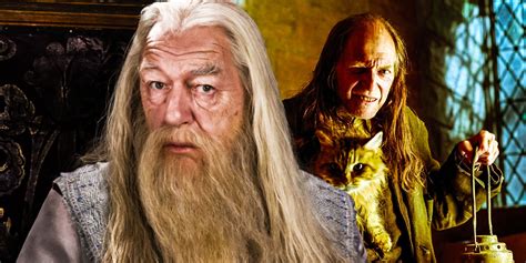 Harry Potter Dumbledore Is Responsible For Hogwarts Most Bitter Character