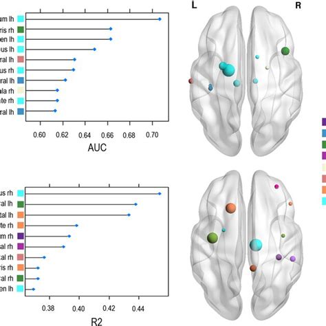 Ranked Variable Importance For Linear Svm Models A Regions
