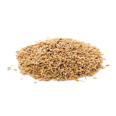 Avena Pelada En Grano BIO EcoAndes