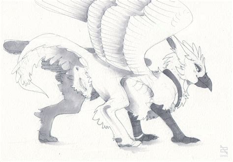 Rule 34 Anus Arith Arith The Gryphon Arith The Gryphon Avian