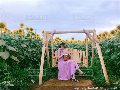 木の柵の上に座っているぬいぐるみのグループの写真・画像素材 6741193 Snapmart（スナップマート）