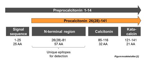 Pros And Cons Of Procalcitonin — Taming The Sru Pros And Cons Of Procalcitonin — Taming The Sru