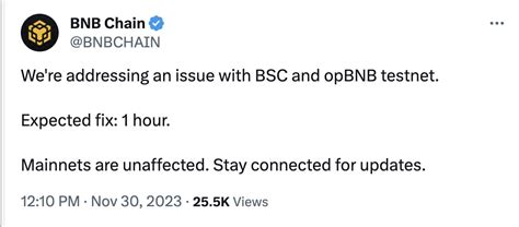 BNB Chain Acknowledges BSC And OpBNB Testnet Issue Promises Resolution Within An Hour Binance