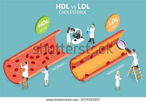 High Blood Lipids Images Stock Photos Vectors Shutterstock