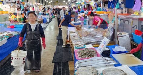 서해 오징어 강원 점령 동해안 대표 어종 옛말