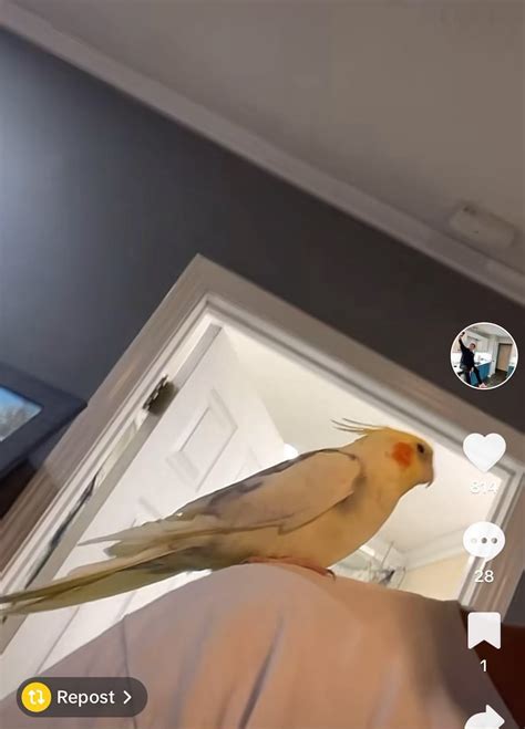 I Figured Grifter Spawn Would Step In This Week While Shes Out Of Town