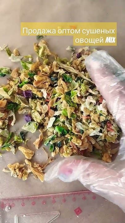 Продажа оптом сушеных овощей Алматы Казахстан Youtube