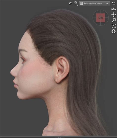 Diffeomorphic Issues When Importing Hair Daz 3D Forums