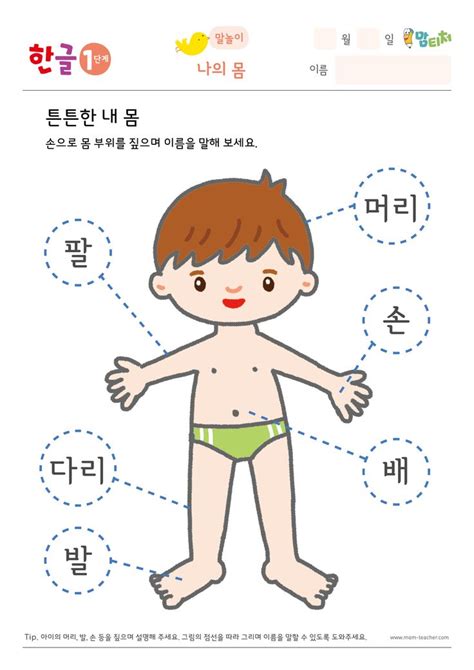 나의 몸 튼튼한 내 몸 미래엔이 만든 No1 프린트 학습지 Mom 몸 성교육 가족 나무