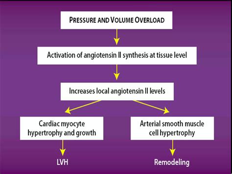 Congestive Heart Failure Pathophysiology Ppt