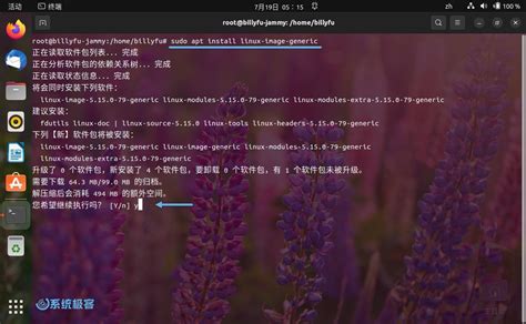 如何在 Ubuntu 中安装和卸载 Xanmod 内核 系统极客 如何在 Ubuntu 中安装和卸载 Xanmod 内核 系统极客