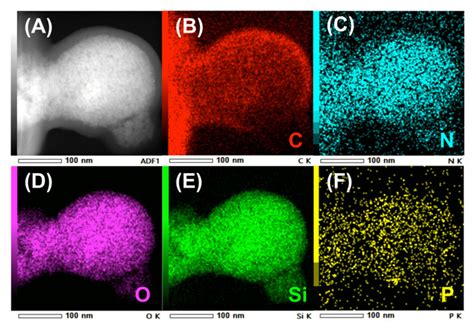 TEM Elemental Mapping Of Uf P M SiO2 A The TEM Image Of Uf P M SiO2