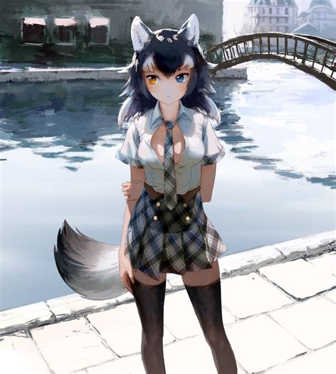 けものフレンズ【タイリクオオカミ】 壁紙
