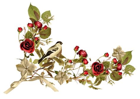 Веточка красных роз с птичкой | Flowers nature, Fun texts, Rose