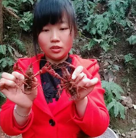 農村姑娘岸邊抓黃鱔卻收穫了它價值比黃鱔還高 每日頭條