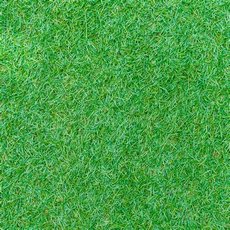 Putting Green Grass Texture