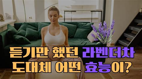 라벤더의 효능 3가지 정리 라벤더 Youtube