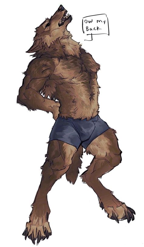 My Back Anthro Furry Furry Drawing Furry Art