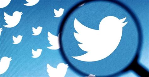 Festa que virou enterro Twitter vai pagar influenciadores mas há condição