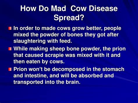 Ppt Mad Cow Disease Powerpoint Presentation Free Download Id