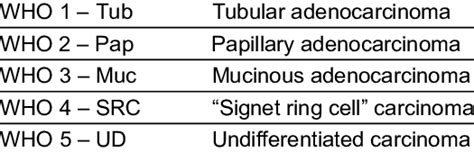 Who Classification Of Gastric Carcinoma Pattern Depiction Download Table