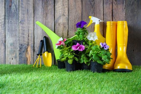 Spring Lawn Care Guide Seed And Turf