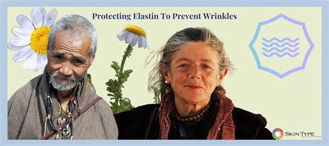 Elastin In Skin Skin Elasticity And How To Restore It Skin Type