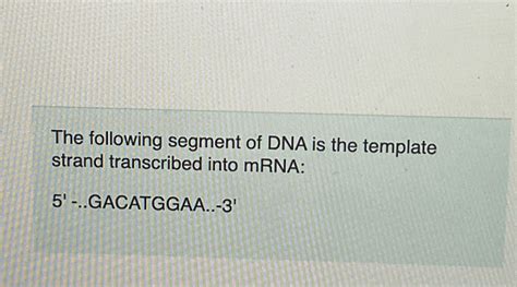 Solved The following segment of DNA is the template strand | Chegg.com