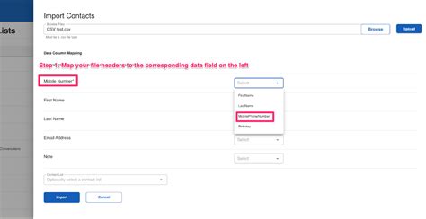 Organizing Contacts With Lists Textel Support Site