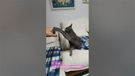 화해의 기술 엄마한테 이를거야 짤영상♡ Youtube