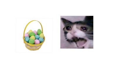 All Of The Locations For The Warrior Cats Eggs Event Youtube