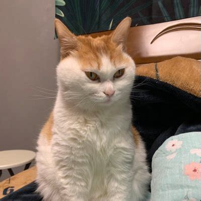 On Twitter
