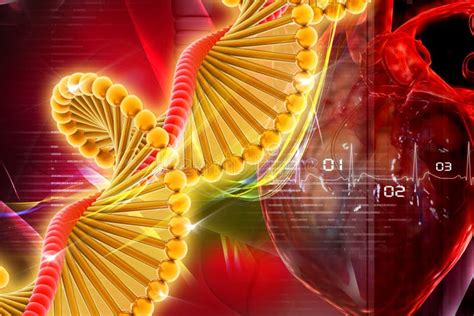 Dna Stock Illustrations 181579 Dna Stock Illustrations Vectors