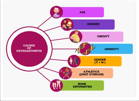 Causes Of Knee Osteoarthritis Download Scientific Diagram