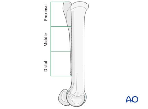 Metacarpals Tarsals Ii And Iv Proximal Fractures