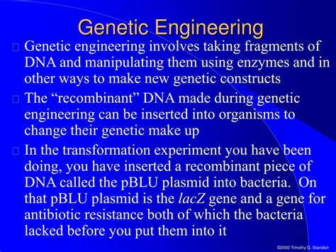 Ppt Genetic Engineering Powerpoint Presentation Free Download Id3099112