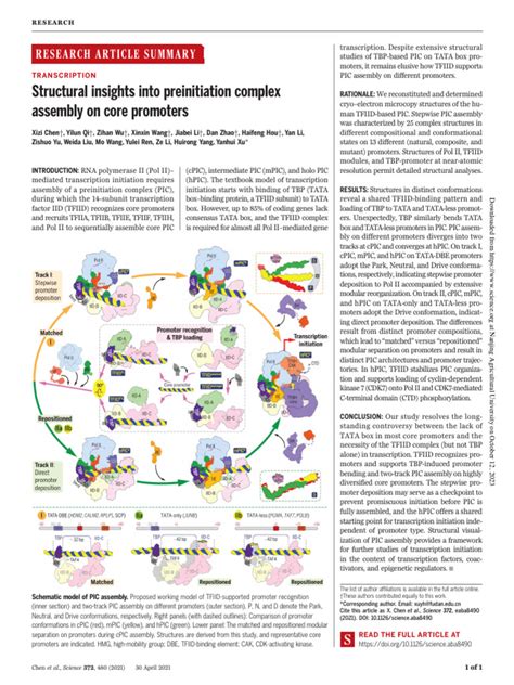 Structural Insights Into Preinitiation Complex Assembly On Core Promoters Pdf Promoter